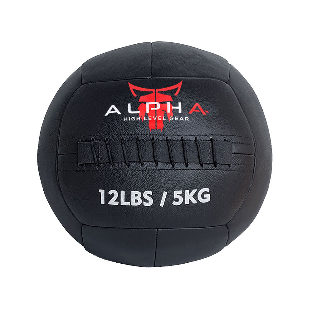 Wall Ball Couro Legítimo 2.0 de 12 lbs (5kg) – Wallball, Medicine Ball ...