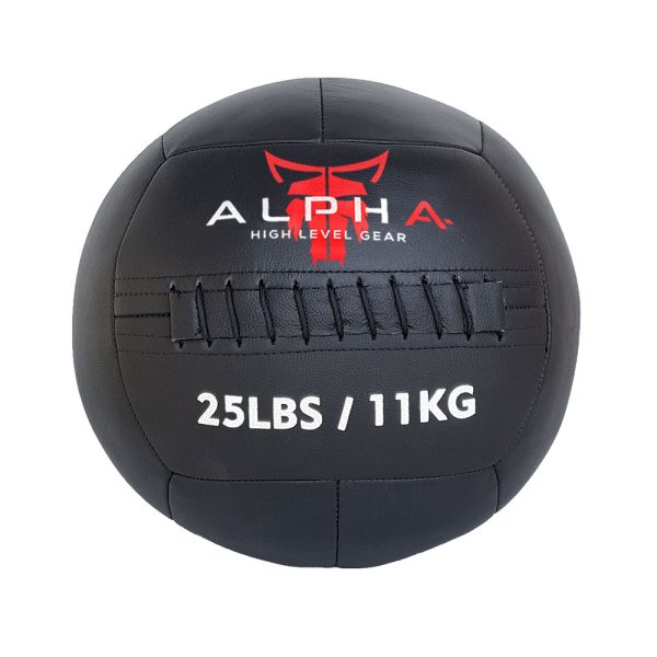 Wall Ball de Couro Legítimo 2.0 - 25 lb (11kg) - Wallball, Medicine ...